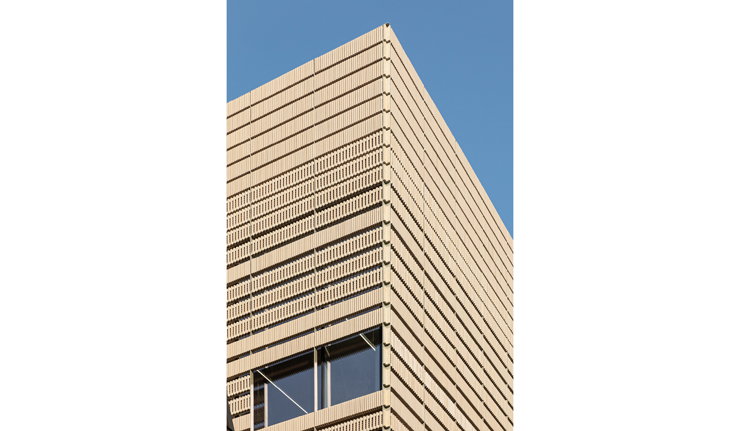 Society of Architecture